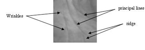figure 1 from palm print verification based deep learning semantic