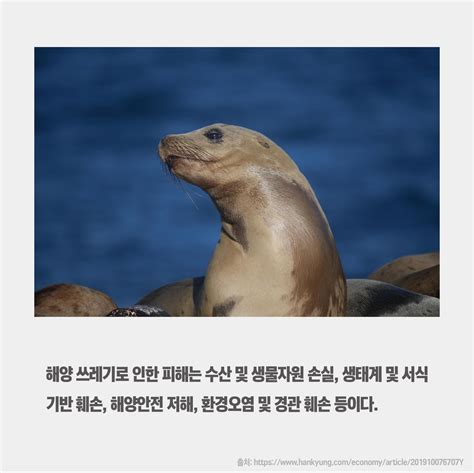 카드뉴스ㅣ세계 해안 쓰레기 중 가 플라스틱류 닥터노아