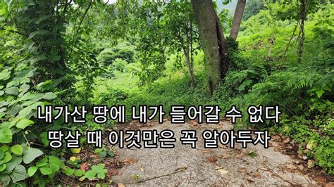 내 땅에 내가 들어갈 수 없다 땅살 때 이것 모르면 큰일난다 집을 지을 수가 없다 Youtube
