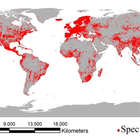 Pdf Seed Traits And Phylogeny Explain Plant Distribution At Large