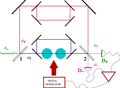 Color Online Level Structure Of The Atoms G And F Are Metastable