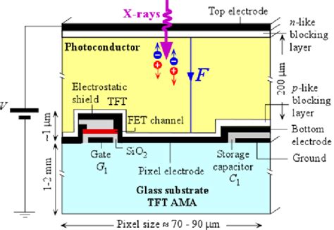 A Simplified Schematic Diagram Of The Cross Section Of A Single Pixel