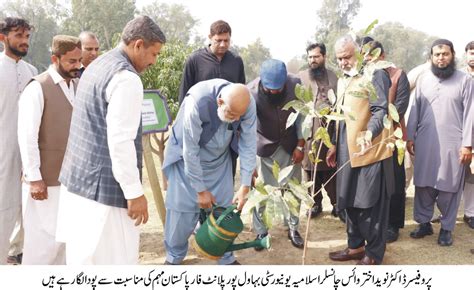 Tree Plantation Has Started In The IUB Under Plant For Pakistan Campaign Of Punjab Government