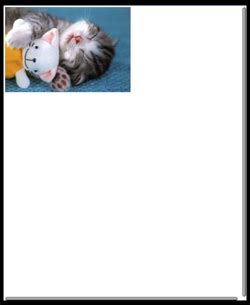 Java Put An Image Inside A Webview And Fit It Width Stack Overflow