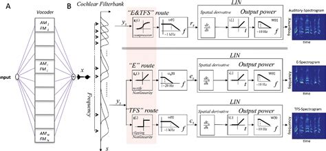 Figure 3 From On The Balance Of Envelope And Temporal Fine Structure In The Encoding Of Speech