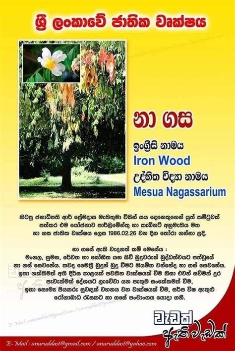 දැනුම ශ්‍රීලංකාවේ ජාතික අනන්‍යතා පිළිබඳව කෙටි විස්තරයක් Facebook