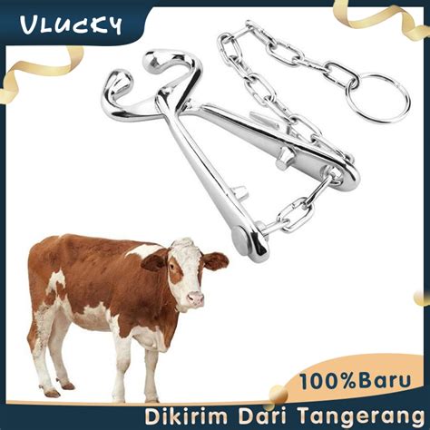 Jual Alat Tindik Hidung Tang Penjepit Hidung Sapi Klip Sapi Alat Tarik
