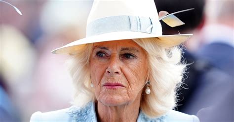 Queen Camilla pulls out of all public engagements as Buckingham Palace issues health update ...