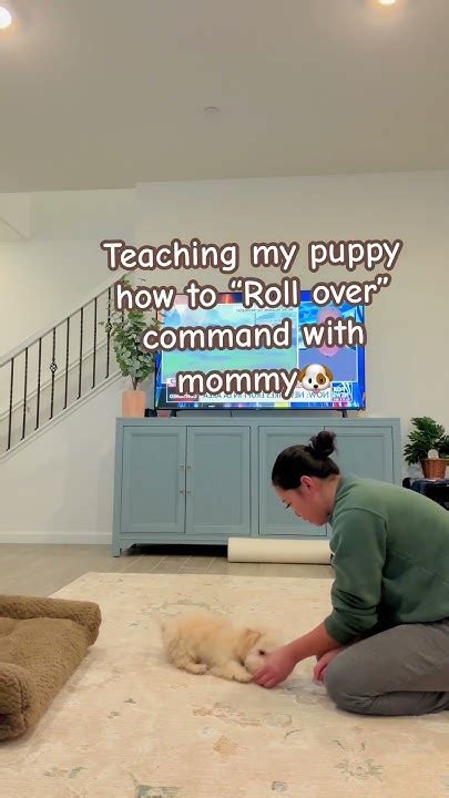 Viralvideo Viralshort Viralreels Viralvideos Viralshorts Fyp Fyp