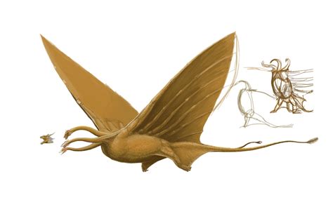 King Ghidorah Redesign Godzilla Know Your Meme