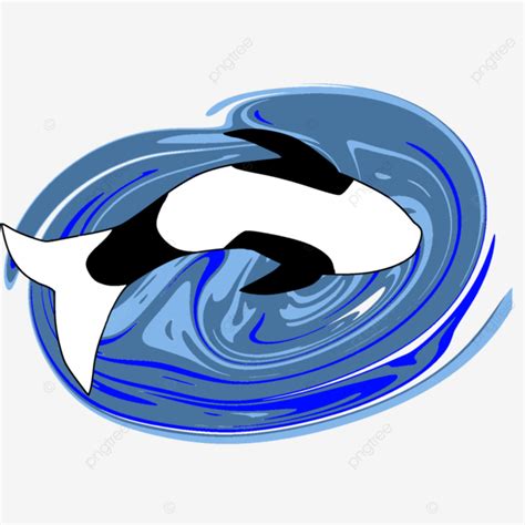 점프하는 범고래 고래 범고래 생선 Png 일러스트 및 Psd 이미지 무료 다운로드 Pngtree