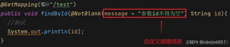 都 JDK 了还不会优雅判空 jakarta validation constraints notnull CSDN博客