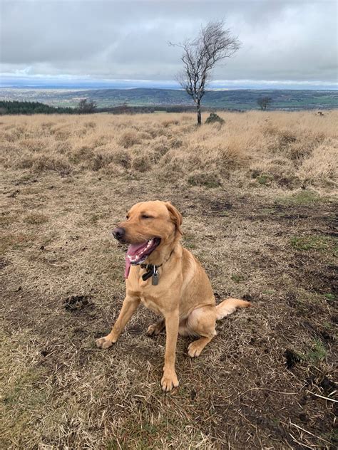 Lifeatsamsara Mentalhealth Wellbeing Daniel Laskey