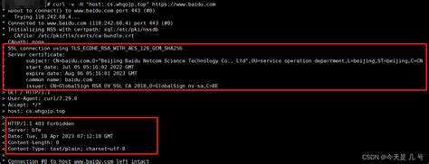 【红队apt】反朔源隐藏andc2项目andcdn域前置and云函数and数据中转anddns转发 cs云函数如何溯源 csdn博客
