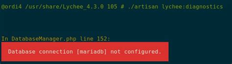 Error 500 After A Fresh Installation · Issue 1021 · Lycheeorglychee