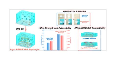Fabrication Of Double Network Hydrogels With Universal Adhesion And Superior Extensibility And