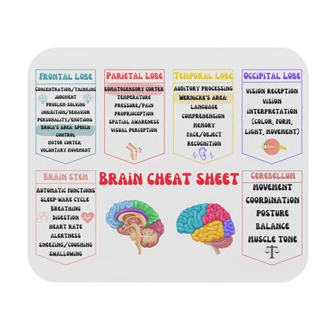 Brain Cheat Sheet Mouse Pad Rectangle Healthcare Mouse Pad Brain Anatomy Nurse Brain Sheet
