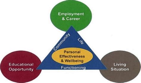 Transition To Independence Process Tip Model® Stars Training Academy