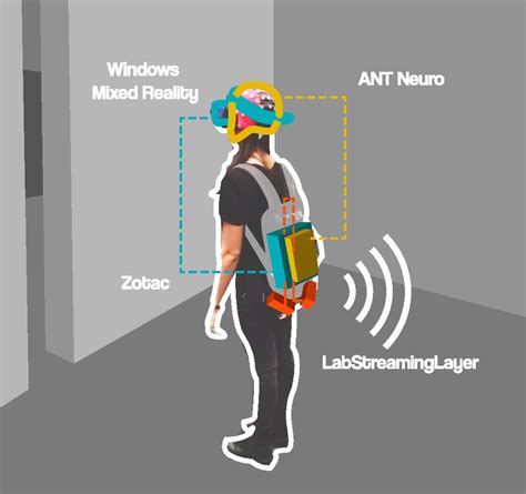 Sensorimotor Brain Dynamics Reflect Architectural Affordances Pnas