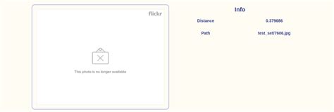 Fastdup A Powerful Tool To Manage Clean Curate Visual Data At Scale