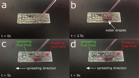 Image Sequence Of The Unidirectional Fluid Flow With The Prototype Of Download Scientific