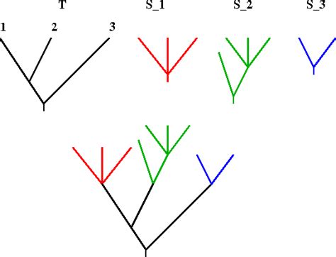 Figure 6 From Operads And Algebraic Combinatorics Of Trees Semantic Scholar