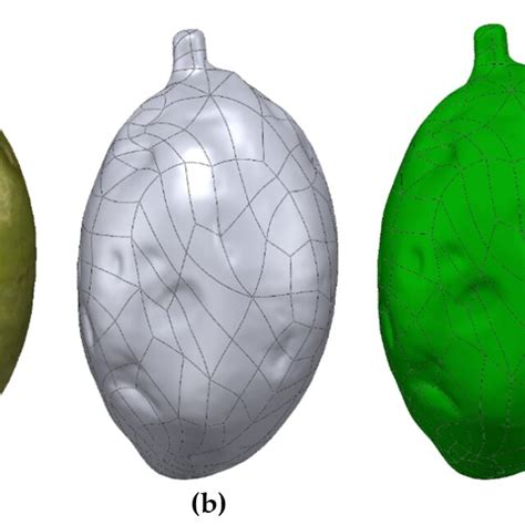 Nurbs Model Of Real Olive A 3d Mesh Texturing B Nurbs Surfaces Download Scientific