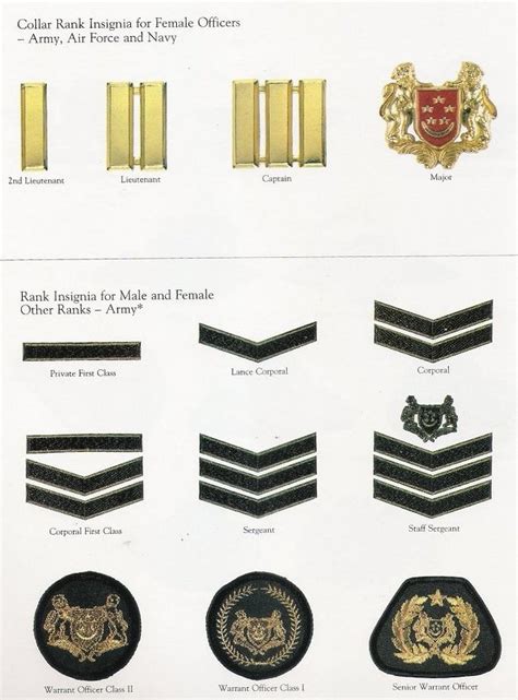 Army Sergeant Rank In Singapore
