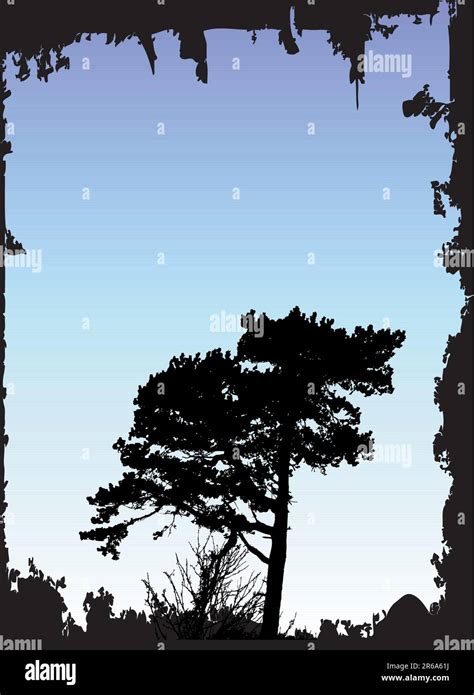 Tree Border Silhouette Hi Res Stock Photography And Images Alamy