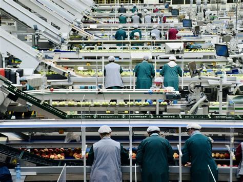 Assembly Line Efficiency Best Practices And Tips Conveyor Roller Factory