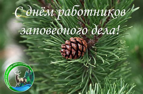 Всероссийский день заповедников 51 фото