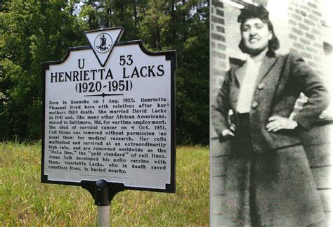 Henrietta Lacks Células Inmortales Bionoticiascl