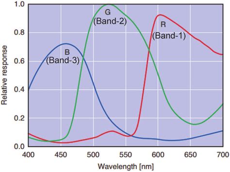 On Board Camera Cmos Sony Exmor 1 2 3 Relative Spectral Absorbance Download Scientific