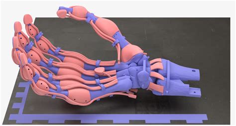 Robotic Hand With Bones Ligaments And Tendons Created For First Time Using 3d Printing