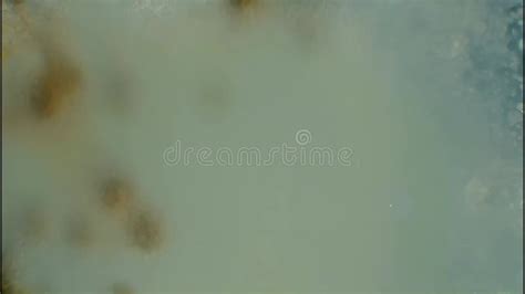 Exploring The Mysteries Of Microscopic Life In Fluid Motion Stock Video Video Of Lens Ambient