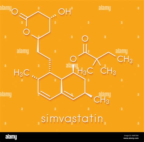 Simvastatin Cholesterol Lowering Drug Statin Class Molecule Skeletal