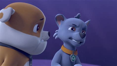Rocky Rocky Paw Patrol Photo 40718151 Fanpop