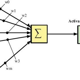 The Single Layer Perceptron Network Download Scientific Diagram