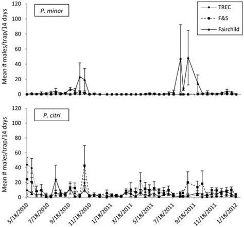 Developing Detection And Monitoring Strategies For Planococcus Minor