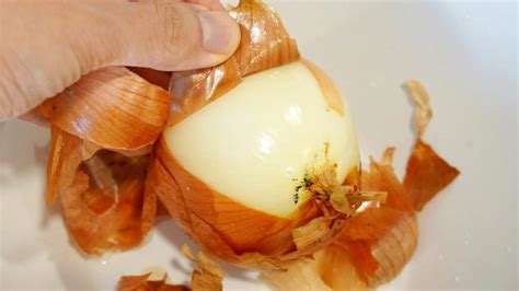 의외로 한국인들이 실수하는 양파 손질 방법 눈 안맵게 양파 자르는법