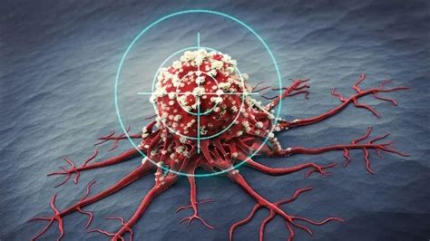 Novel Nanotechnology Could Enhance Effectiveness Of Chemo Technology