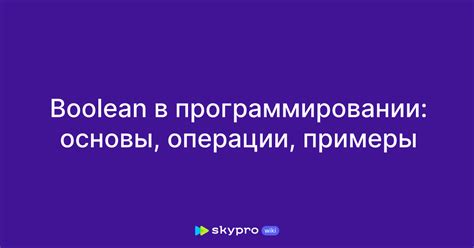 Boolean в программировании основы операции примеры