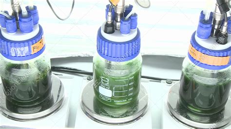 Lab Scale Small Scale Photo Bioreactor With Three Different Flasks Being Stock Video Footage