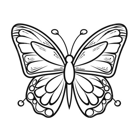Sketsa Tato Kupu Kupu Tato Tangan Kupu Kupu Sketsa