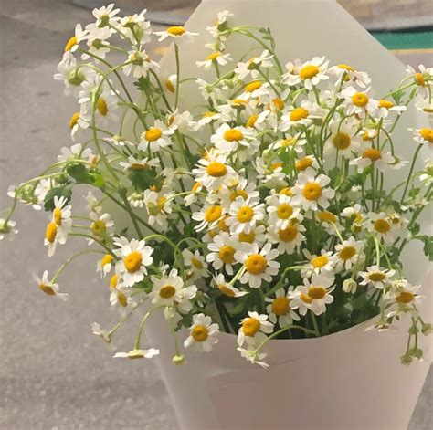 正方形 高清图片，堆糖，美图壁纸兴趣社区