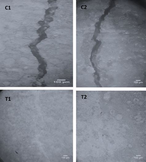 Stereomicroscopic Images Show Crack Healing After 7 Days Pre Cracking