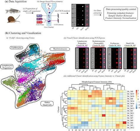 Label Independent Flow Cytometry And Unsupervised Neural Network Method For De Novo Clustering