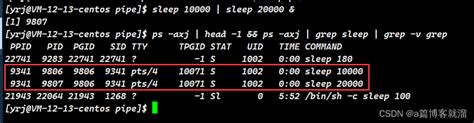 ＜linux＞ 进程间通信linux Pipe 函数 Csdn博客