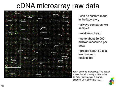 ppt analysis of gene expression data powerpoint presentation free