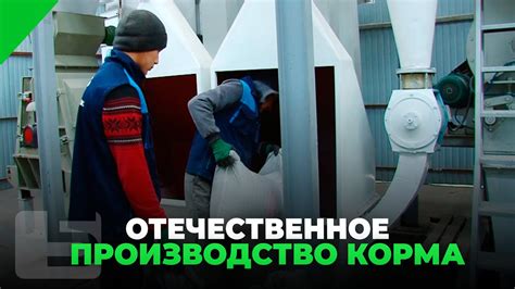 ОТЕЧЕСТВЕННОЕ ПРОИЗВОДСТВО КОРМА - YouTube